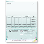 Sage Cheques: Sage 50 & 100 Cheques | GoSafeguard.ca